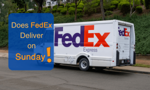 ¿FedEx entrega los domingos? o vacaciones [Guía definitiva] - PSM
